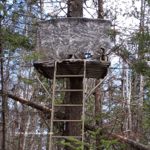 Inspiration by Kait Carson | Maine Crime Writers